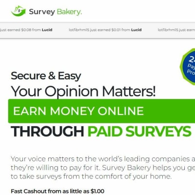 Survey Bakery (@surveybakery) • Mix