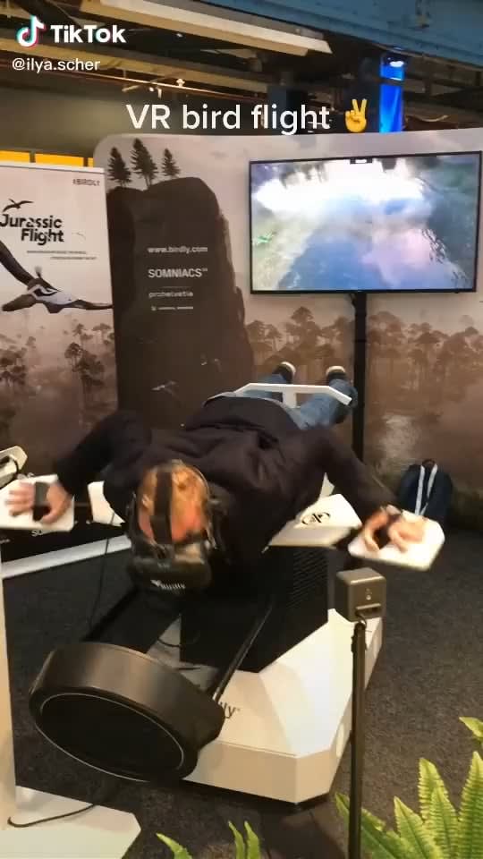 VR bird flight