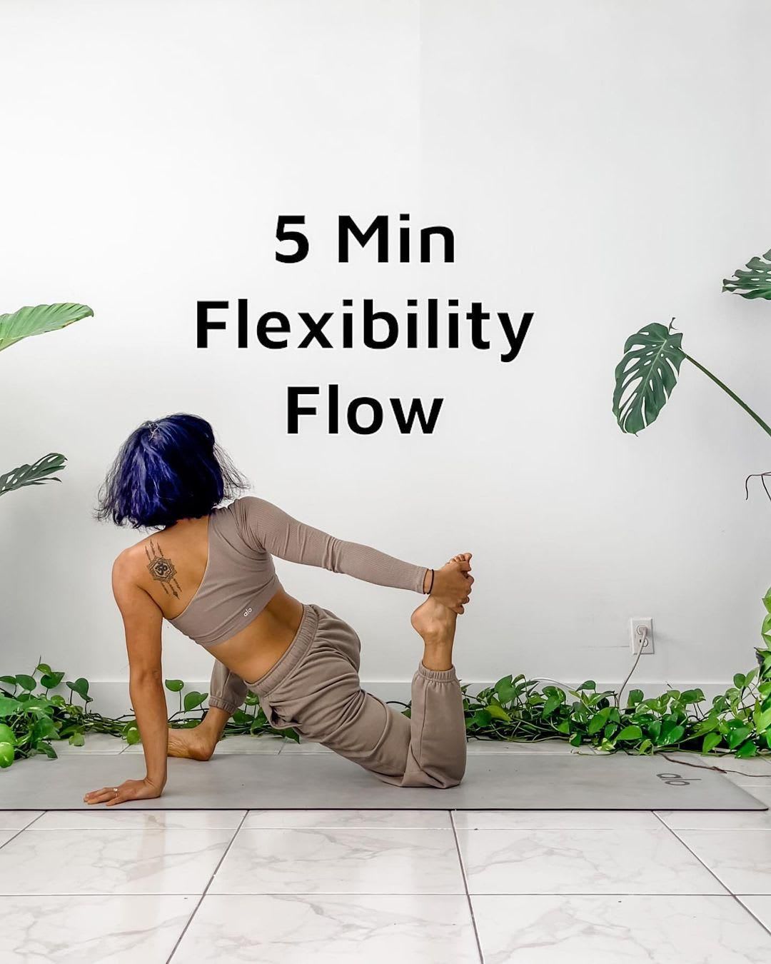 5 Min Flexibility Flow