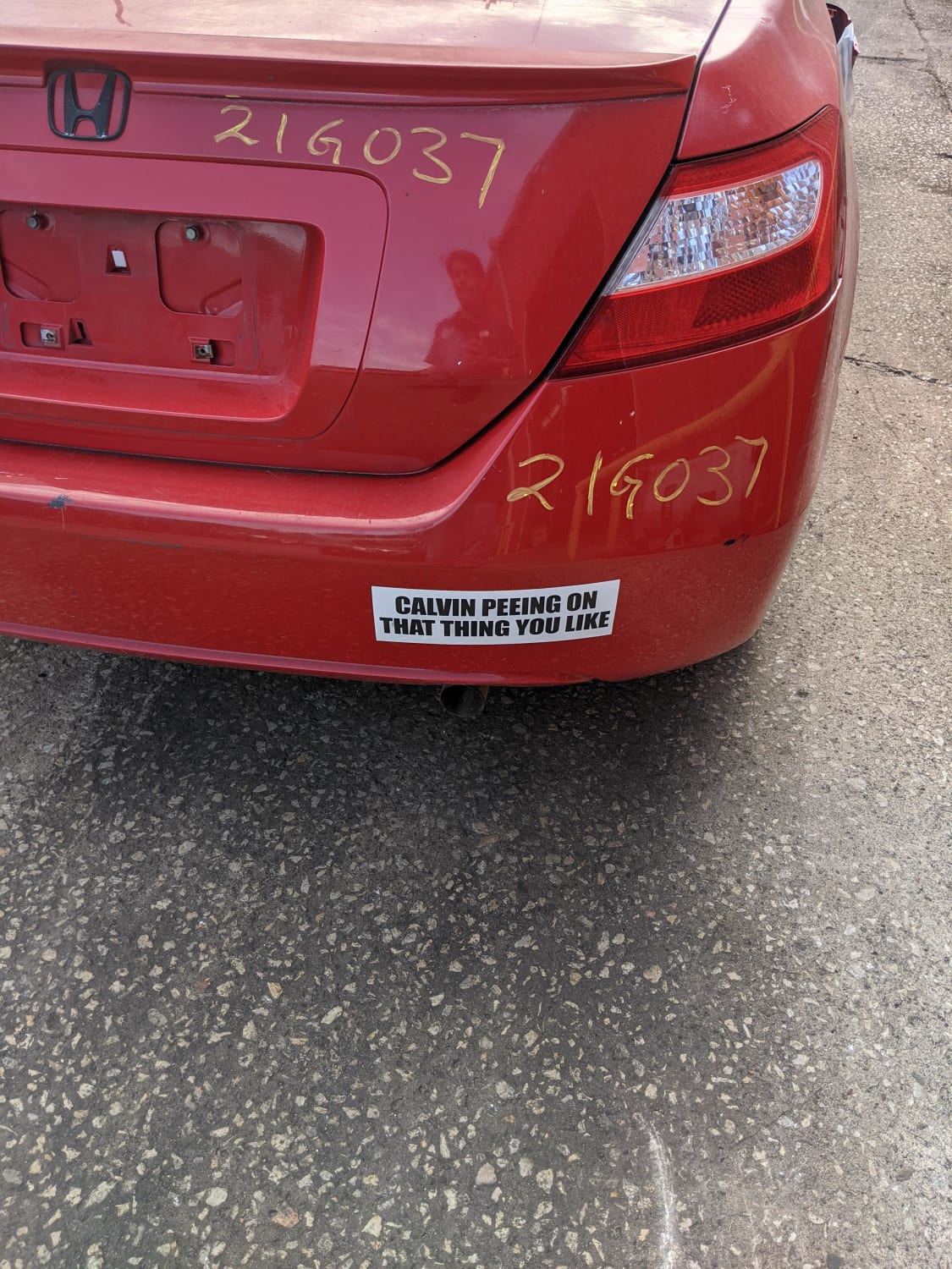 Just rolled into the shop