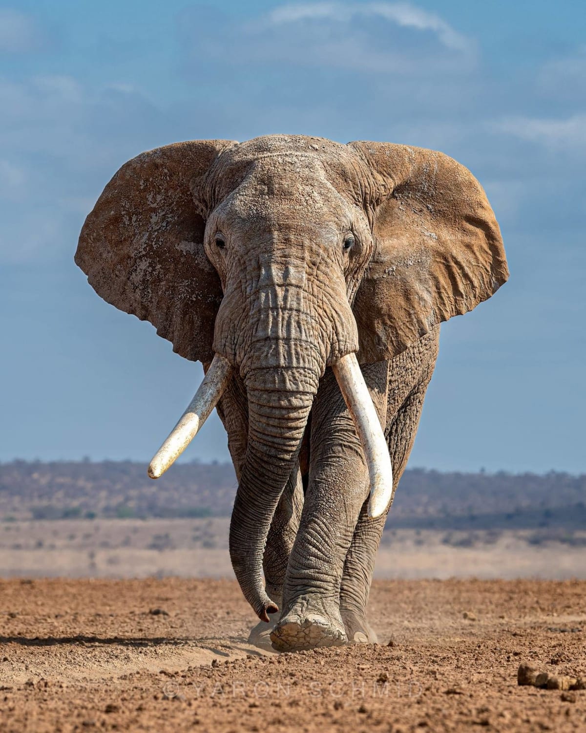 Coffee Break on Tumblr