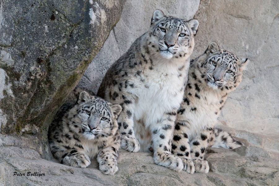 Coffee Break on Tumblr