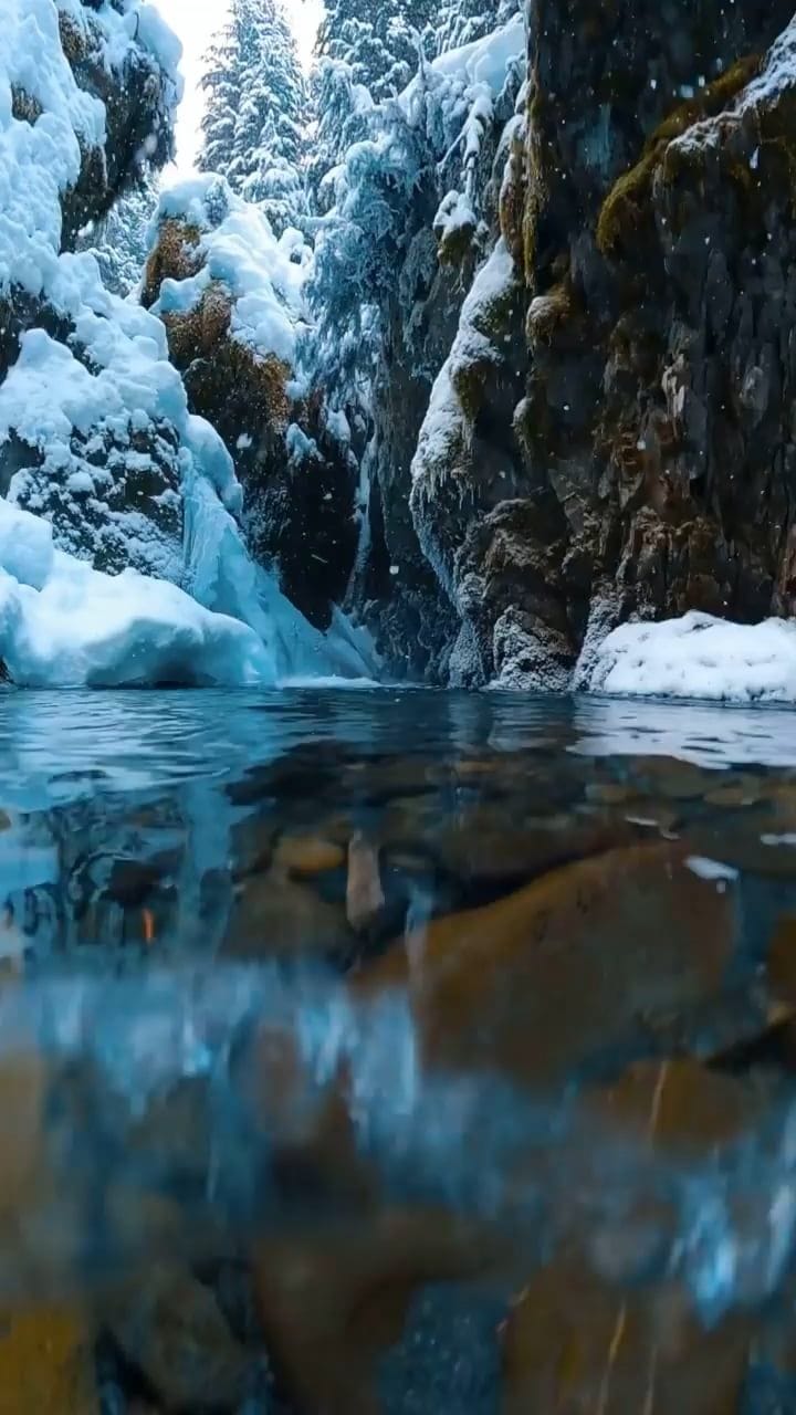 Snow flakes fall softly into crystal clear water ️