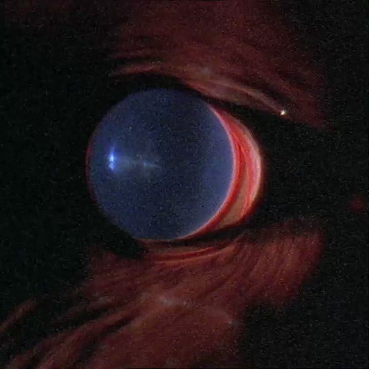 Did you know? The vampire squid is neither squid nor octopus.