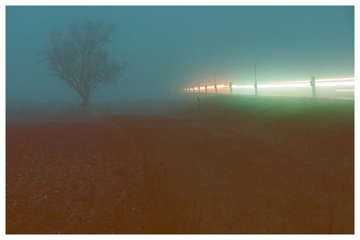 A Very Foggy Start Into The New Year [Nikon F100, Ektar 100]
