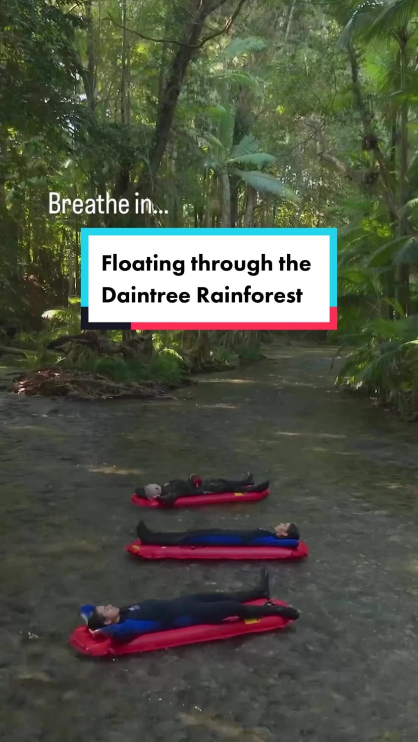 Floating through the breathtakingly beautiful Daintree Rainforest 🍃 ...
