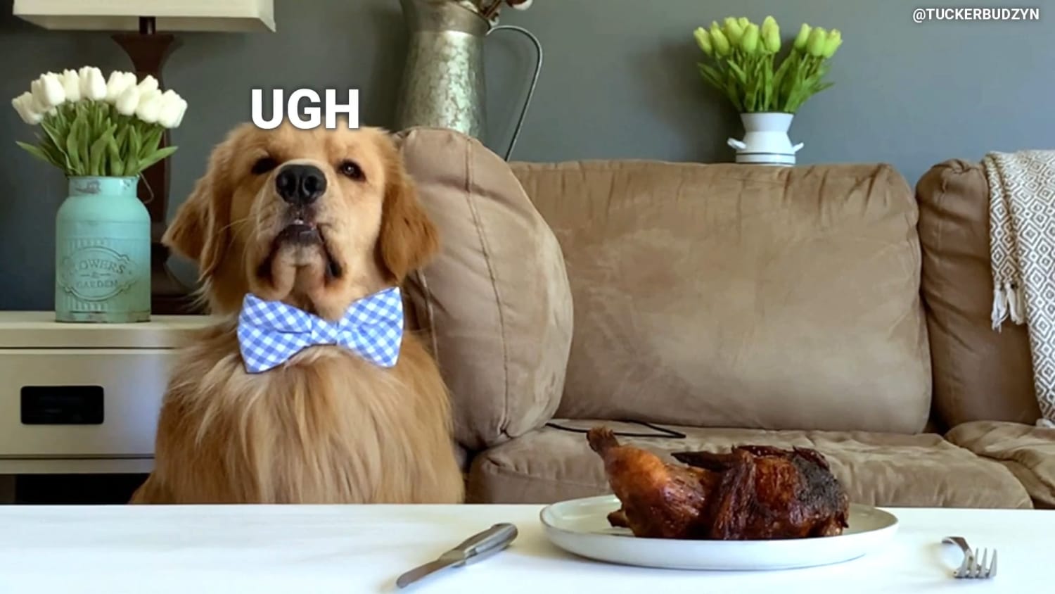 Must Resist Chicken!