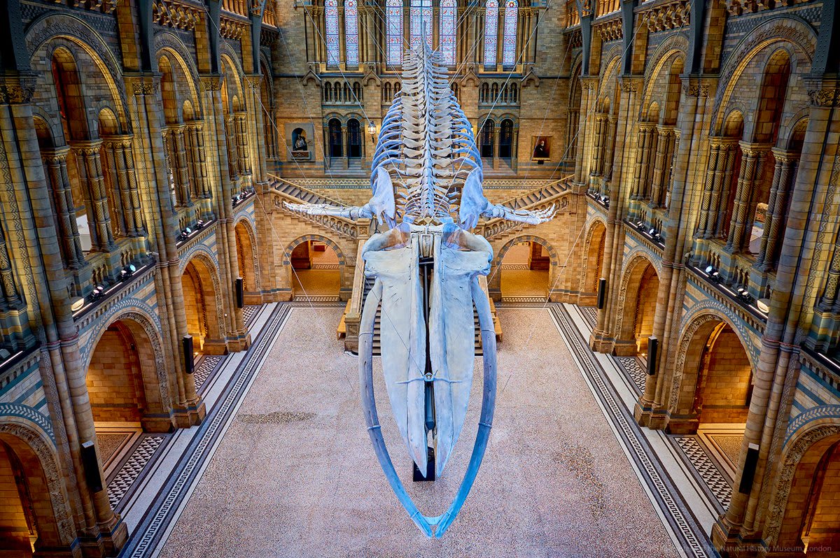 It was exactly one year ago OnThisDay that the Museum closed its doors ...