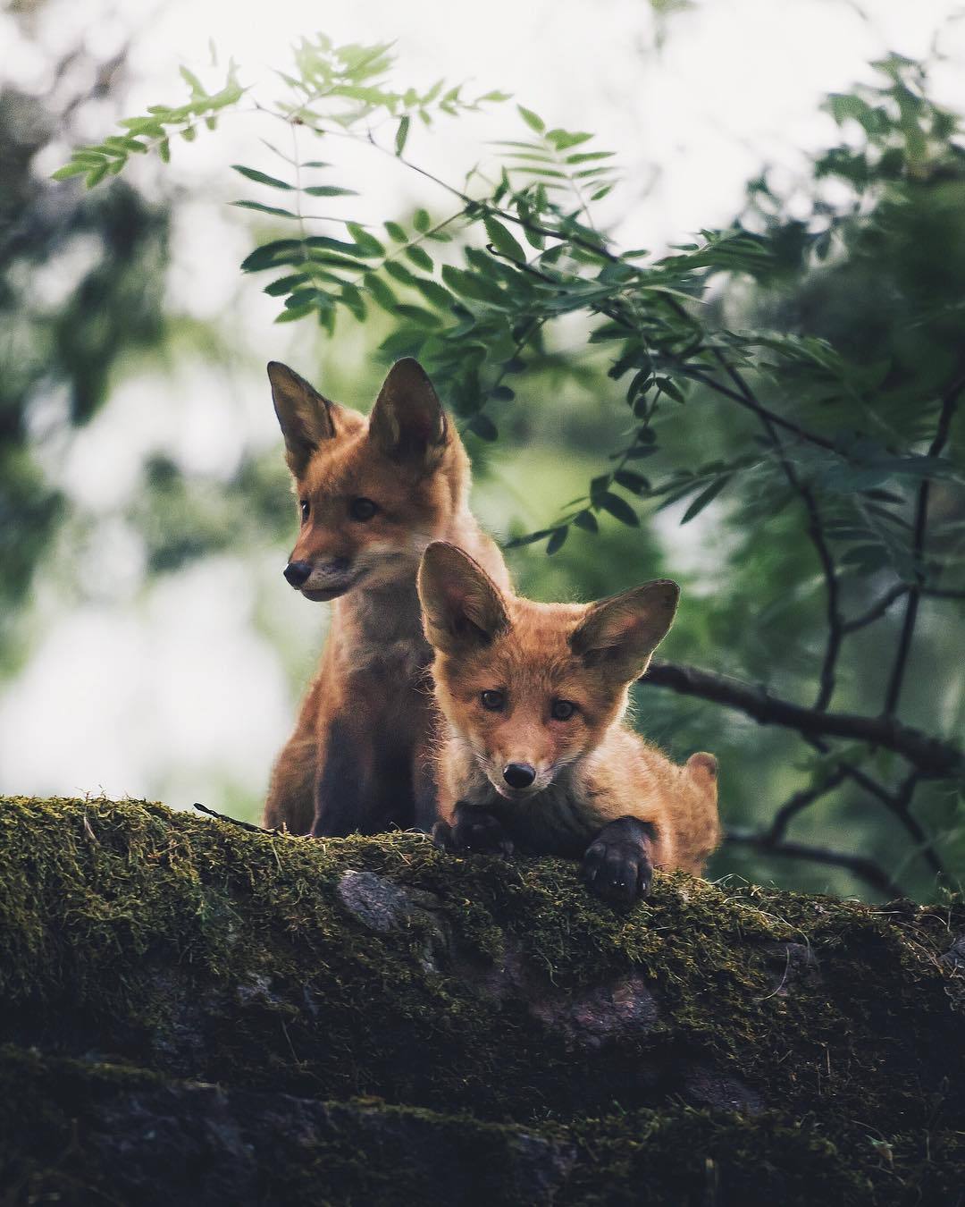 Friends 📷: Konsta Punkka