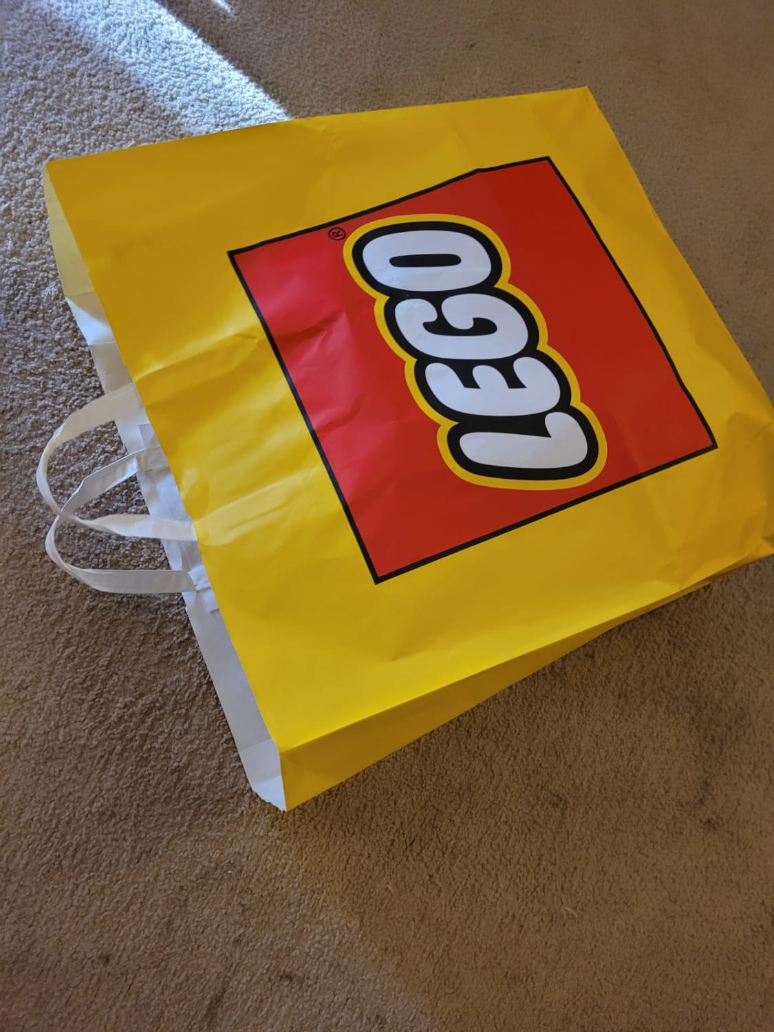 the bag was rustling surprise!