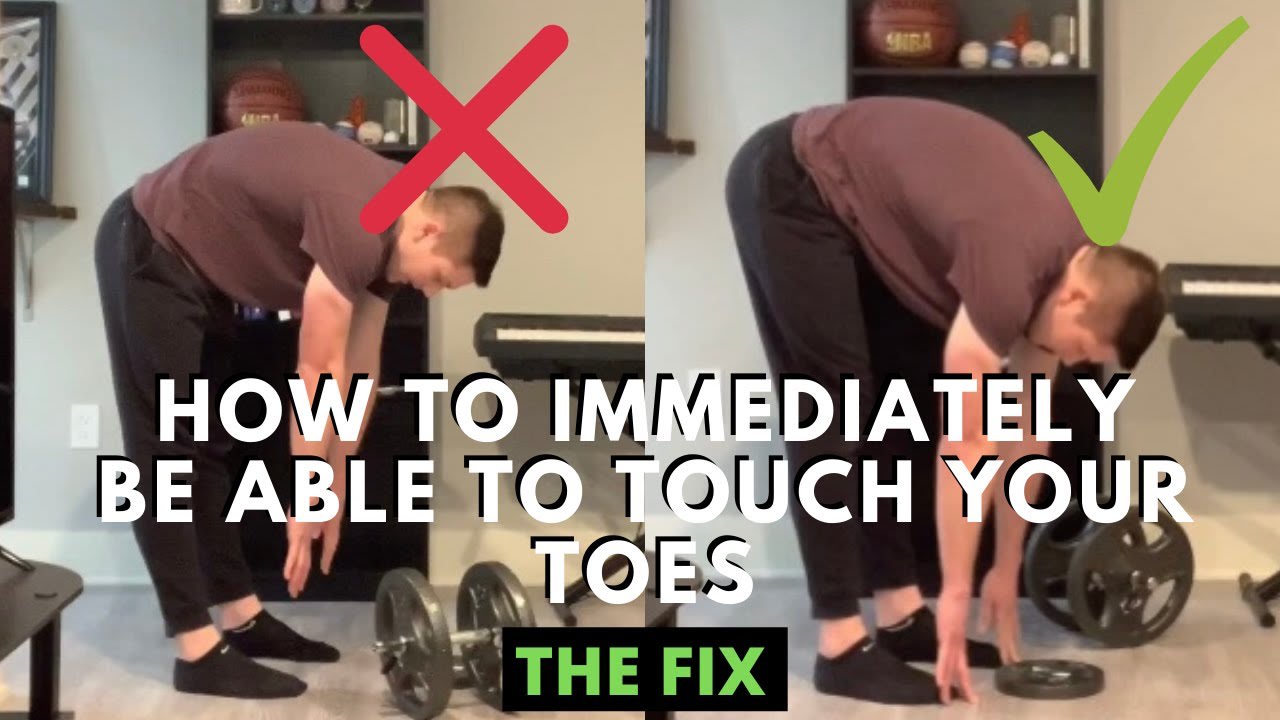 Biomechanics of a Toe-Touch - Why it isn't entirely a hamstring ...