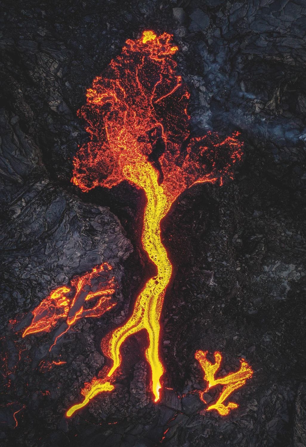 The Lava Tree; from the eruption in Iceland- IG: @glacionaut