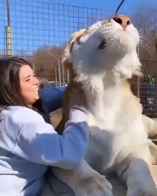 Big scritches