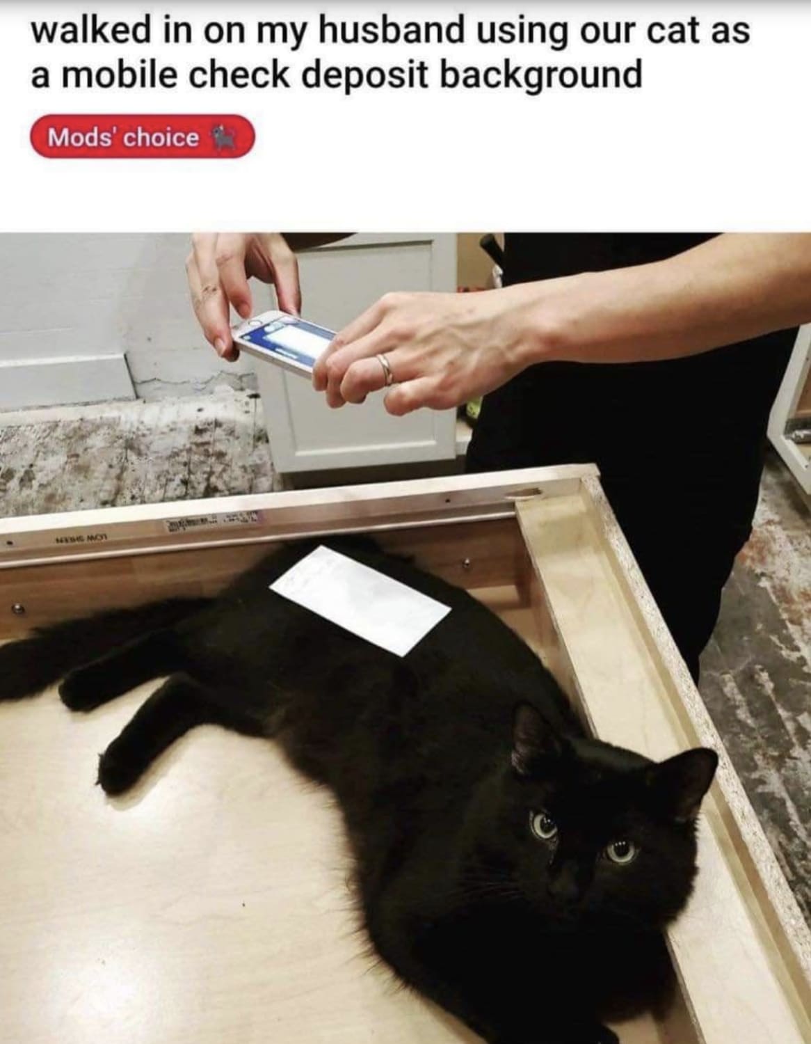 Catchymemes on Tumblr