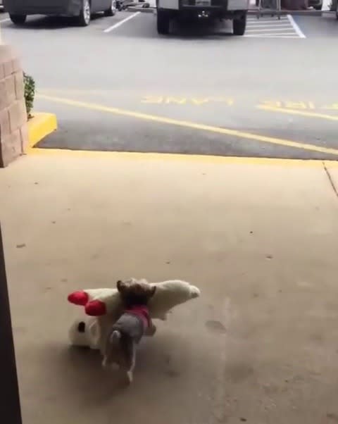 So excited to receive gift