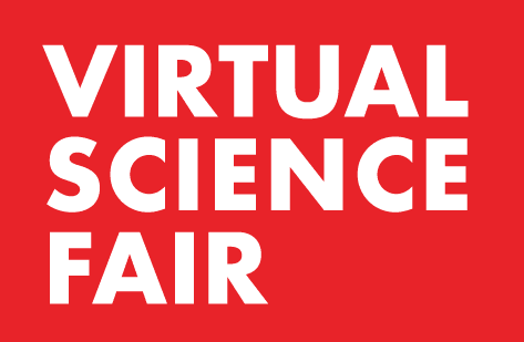 Virtual Science Fair - 2021-2022 - Future Goals - Hockey Scholar