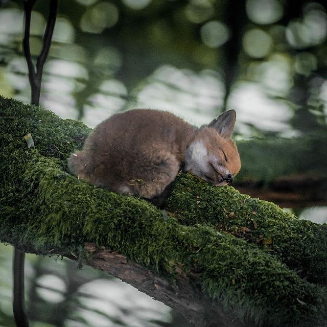 Coffee Break on Tumblr