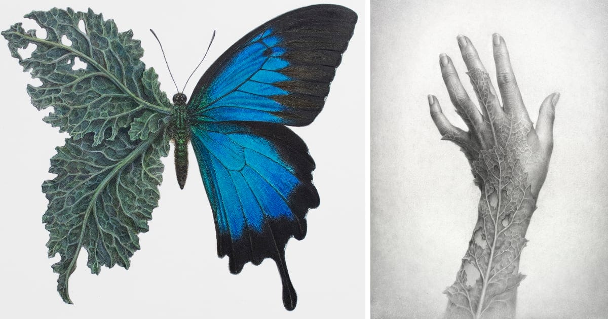 Leaves, Insects, and Human Anatomy Converge in Delicate Pencil Drawings ...