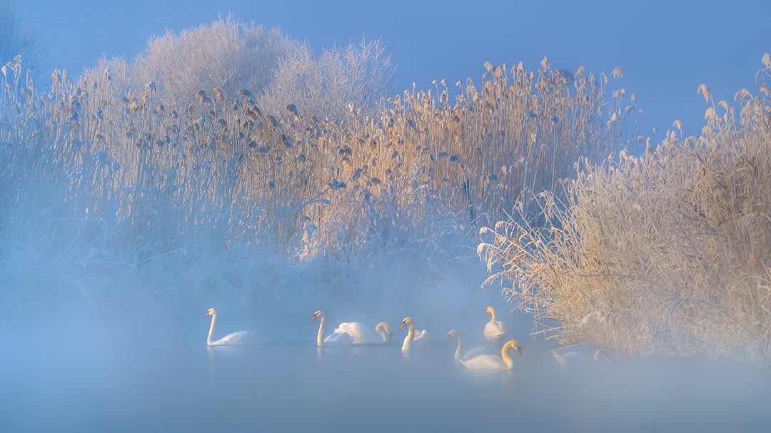 Submit your best photos in the Nature’s Colors Photo Contest for a ...