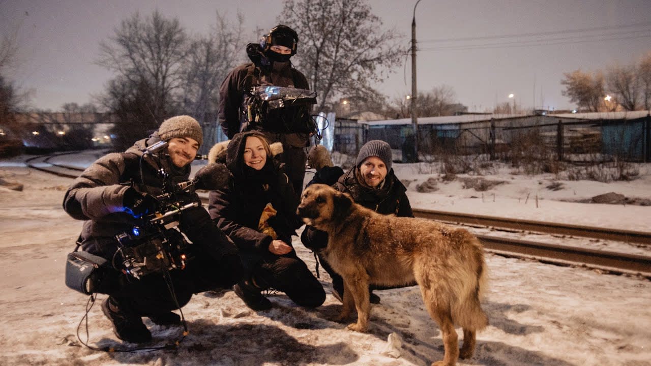 Amazing work of capturing stray dogs in the streets of Moscow ...
