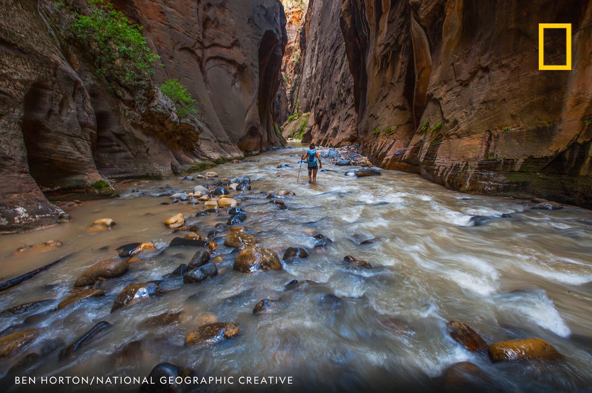 A hiker traverses Zion National Park's famous Narrows in this ...