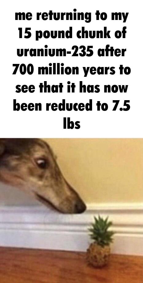 I love these memes. poor little borzoi doesn't understand the concept ...