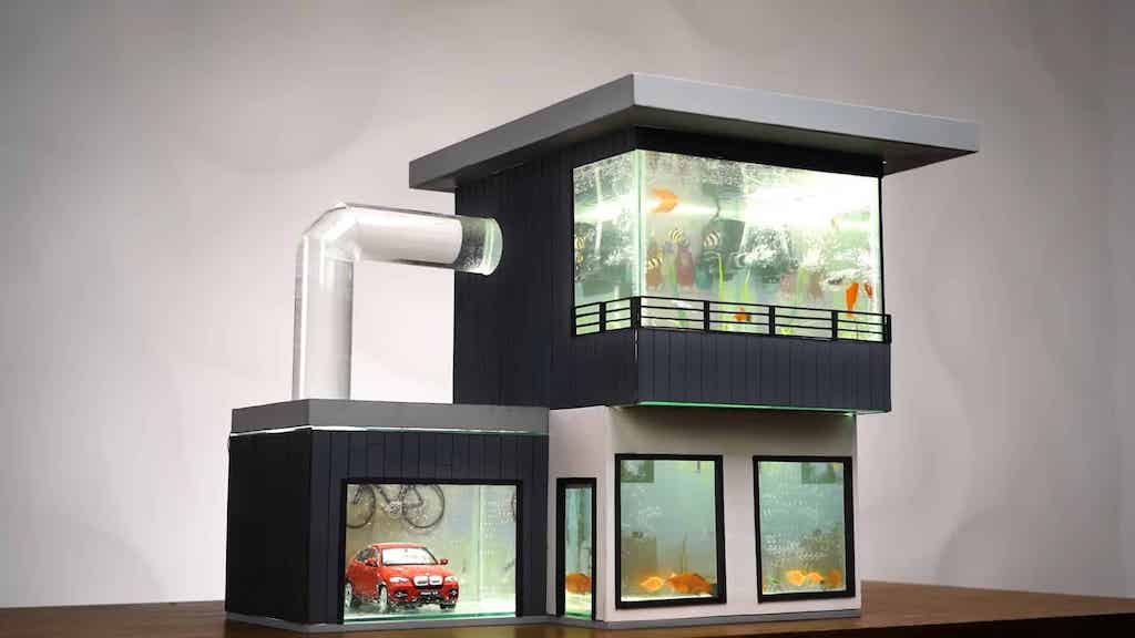 A Mid-Century Modern House Aquarium For Pet Fish That Includes a Tiny ...
