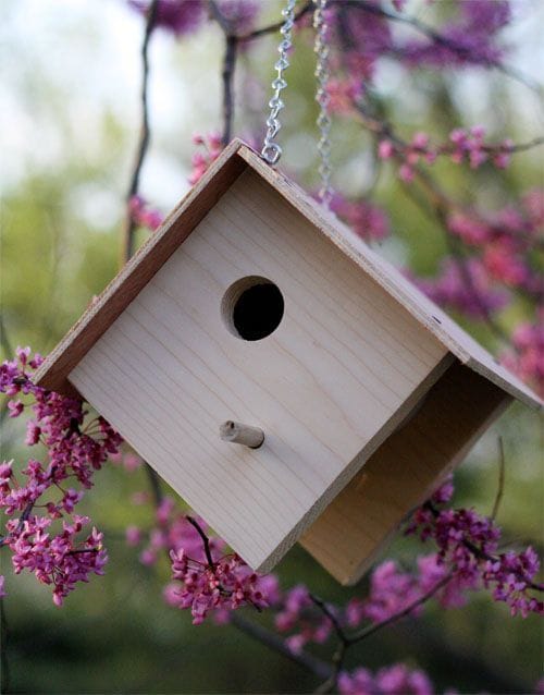 How to build a wooden birdhouse.