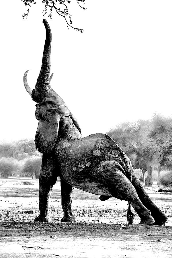 Coffee Break on Tumblr