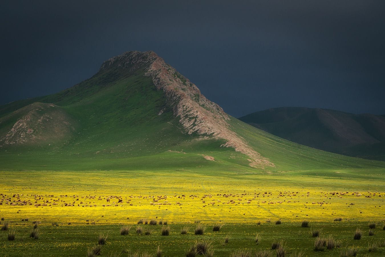 Almaty Region, Kazakhstan by Olga Kulakova