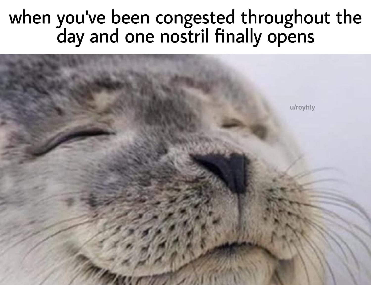 I finally got some relief