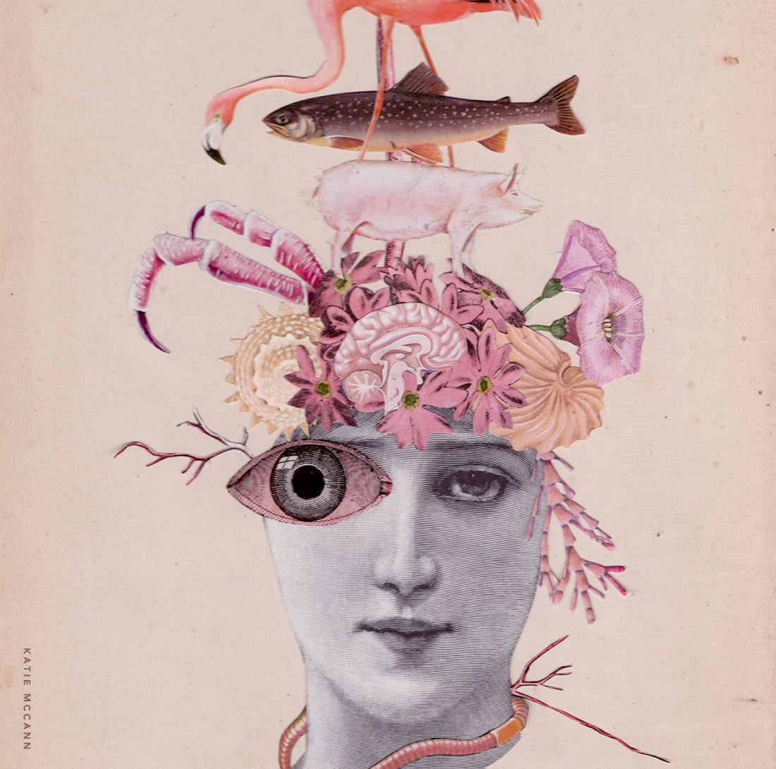 well hello 100DaysofPaperHeads