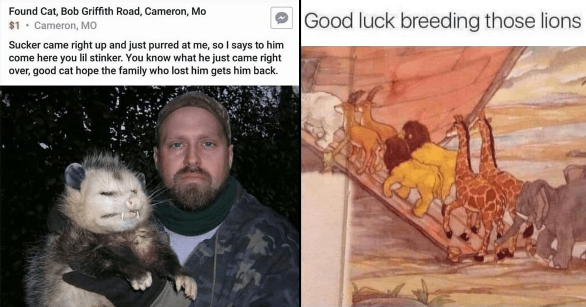 27 Absurd Animal Memes That 100% Pass The Vibe Check This Week (April ...