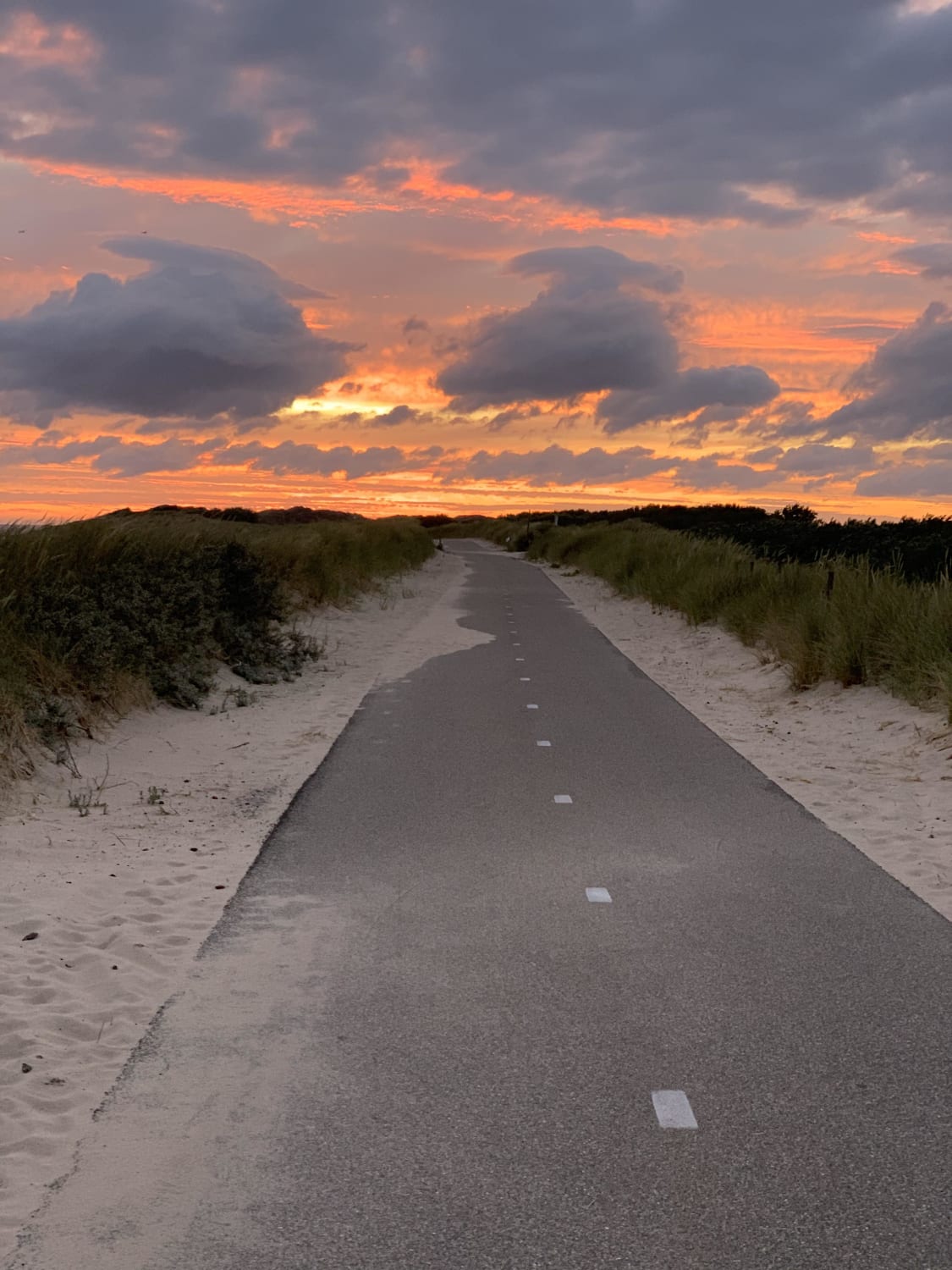 Amazing afternoon walk.