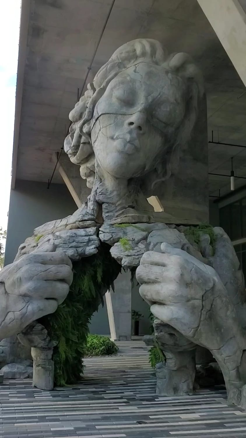 Thrive by Cape Town-based installation artist Daniel Popper. Created ...