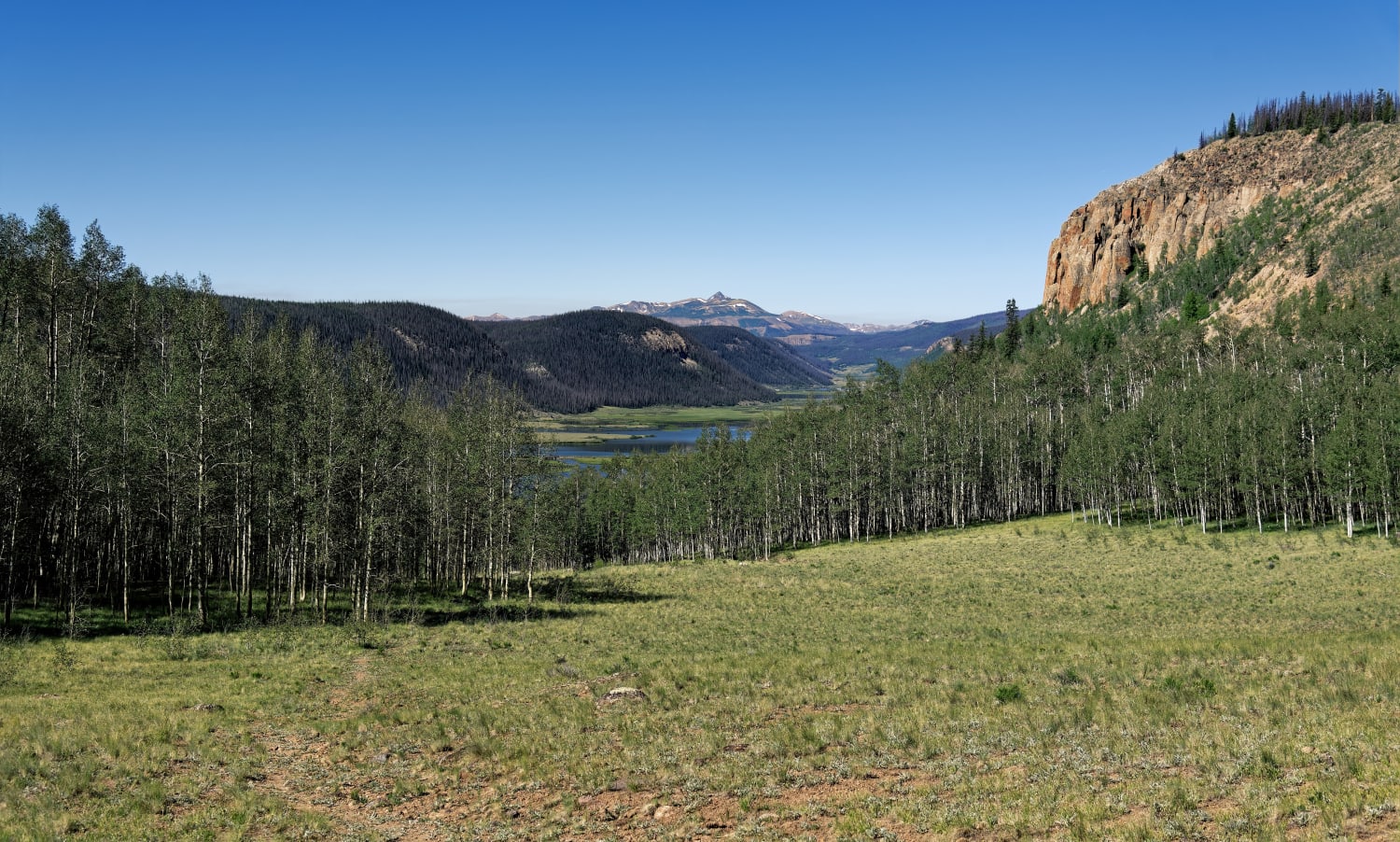 A Panoramic View in the Rio Grande National Forest