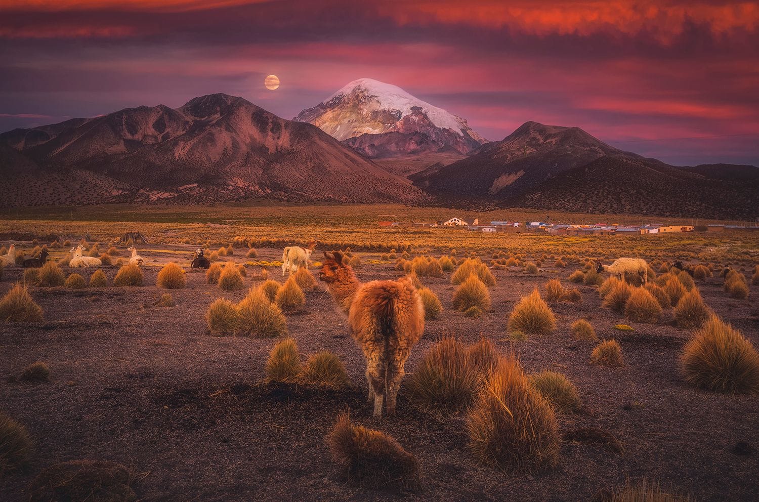 Andean landscape