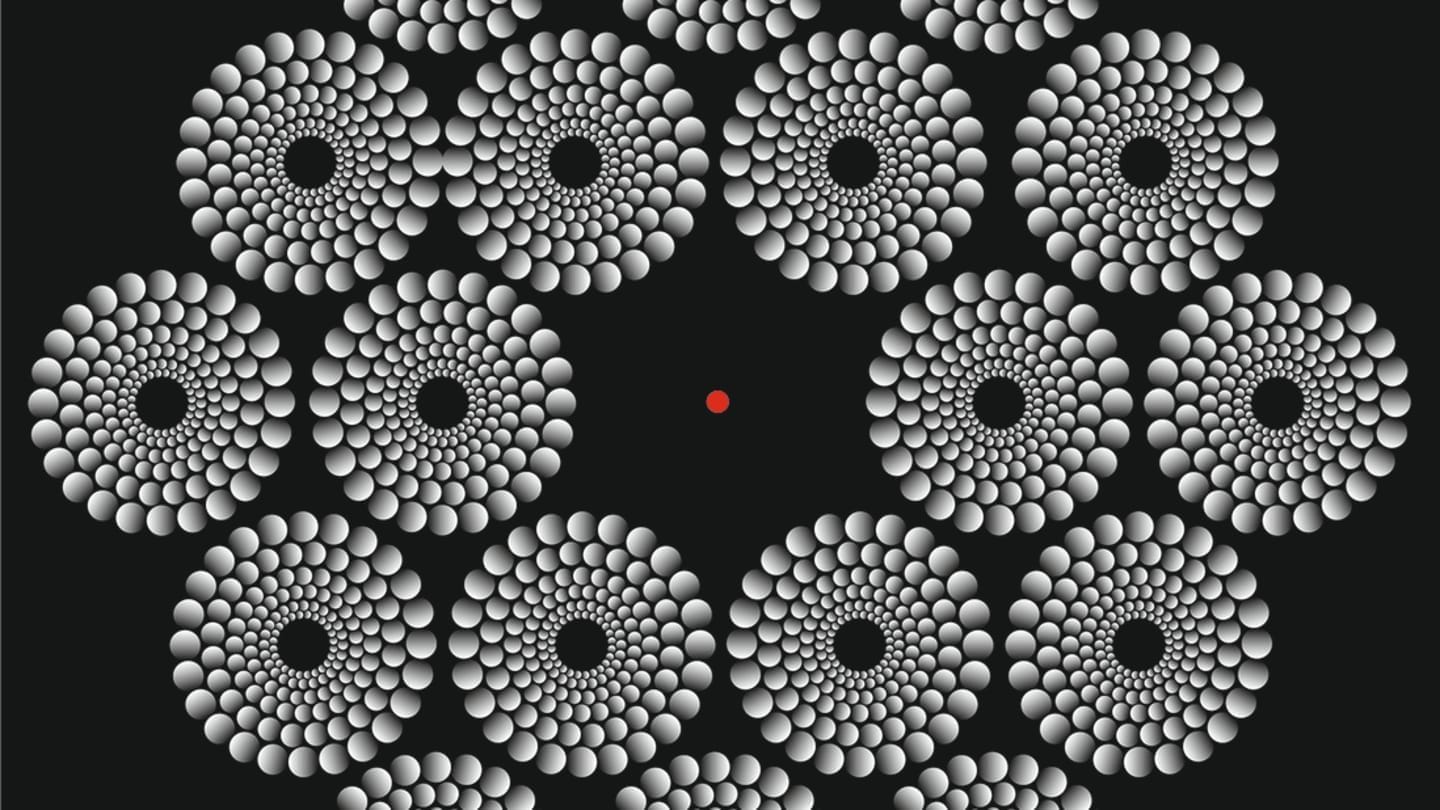 10 Award-Winning Optical Illusions and Brain Puzzles