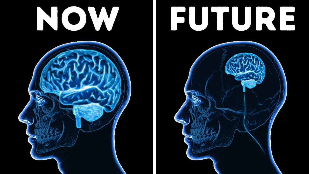 You Lose Brain Matter All the Time // 150 Wild Body Facts