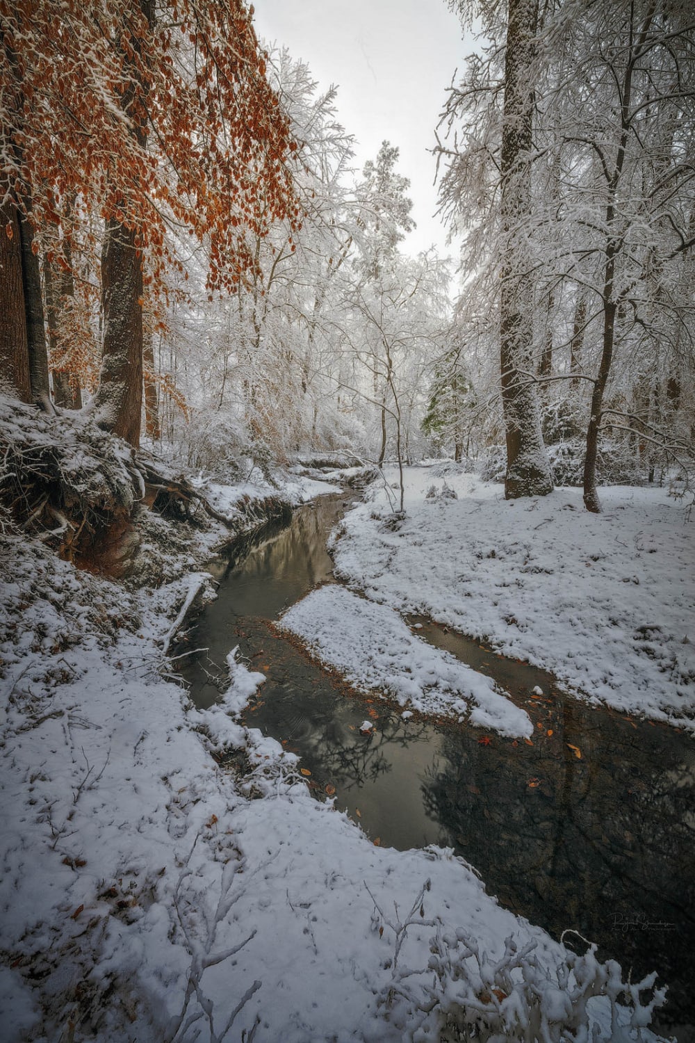 Follow the Stream by Ryan Shanahan