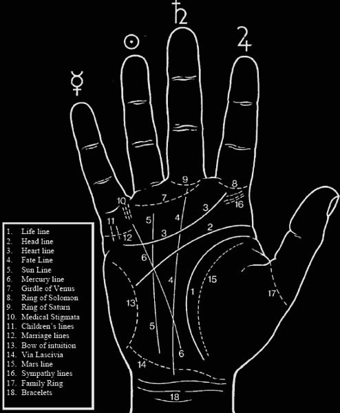Top 10 Lines in Palmistry. Palmistry is an art of reading the hands. It ...