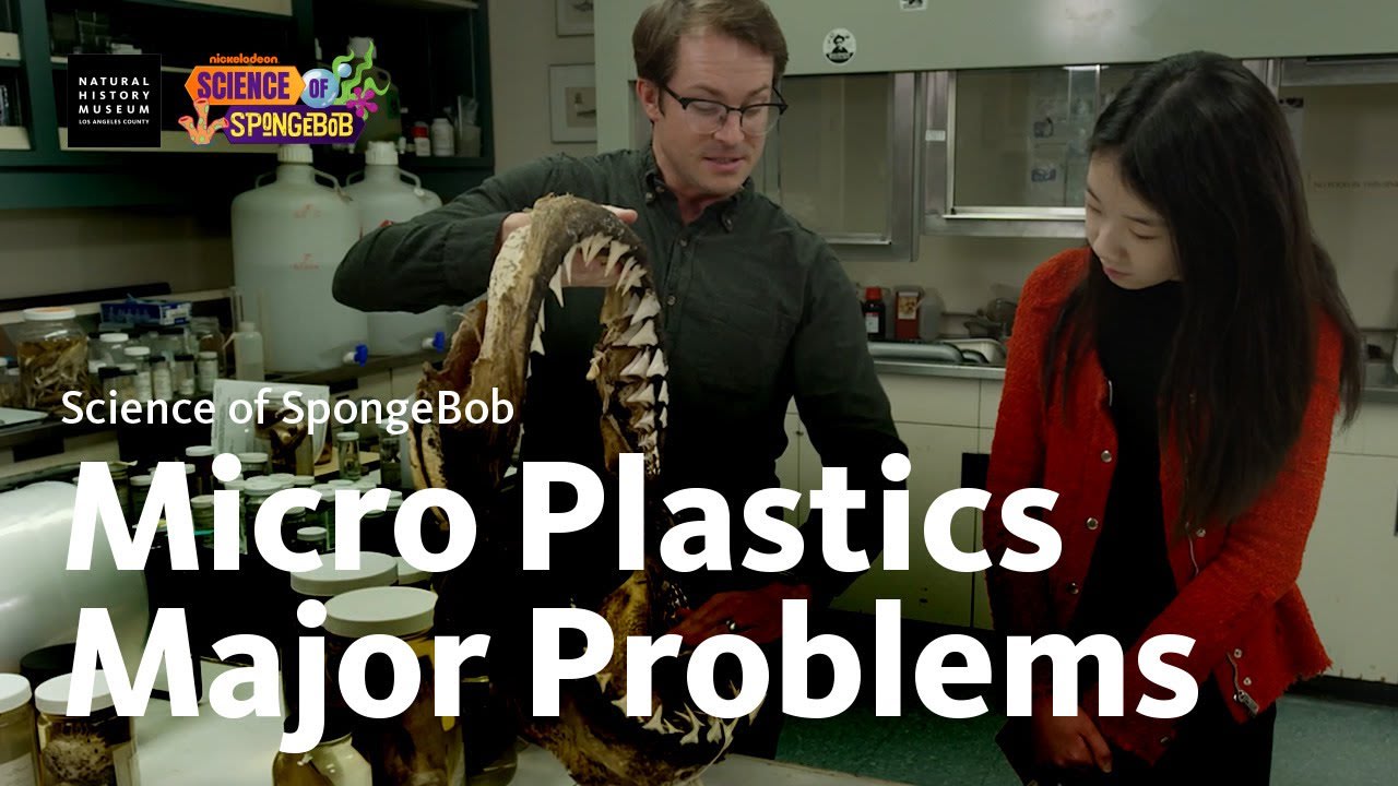 Science of SpongeBob: Micro Plastics, Major Problem