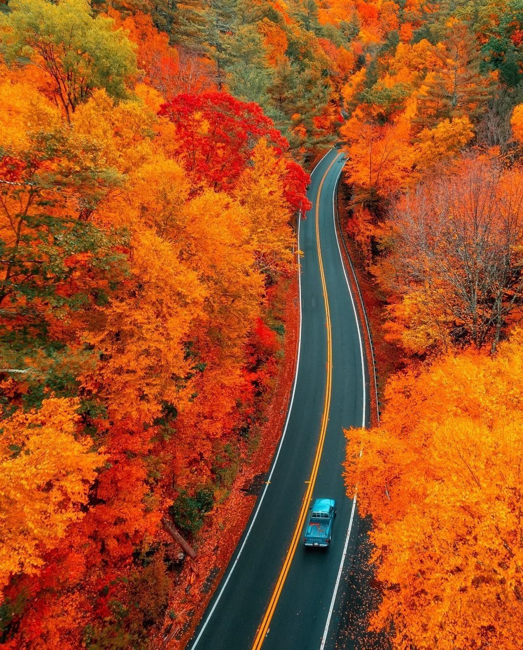 Cool Things Guys Like on Tumblr