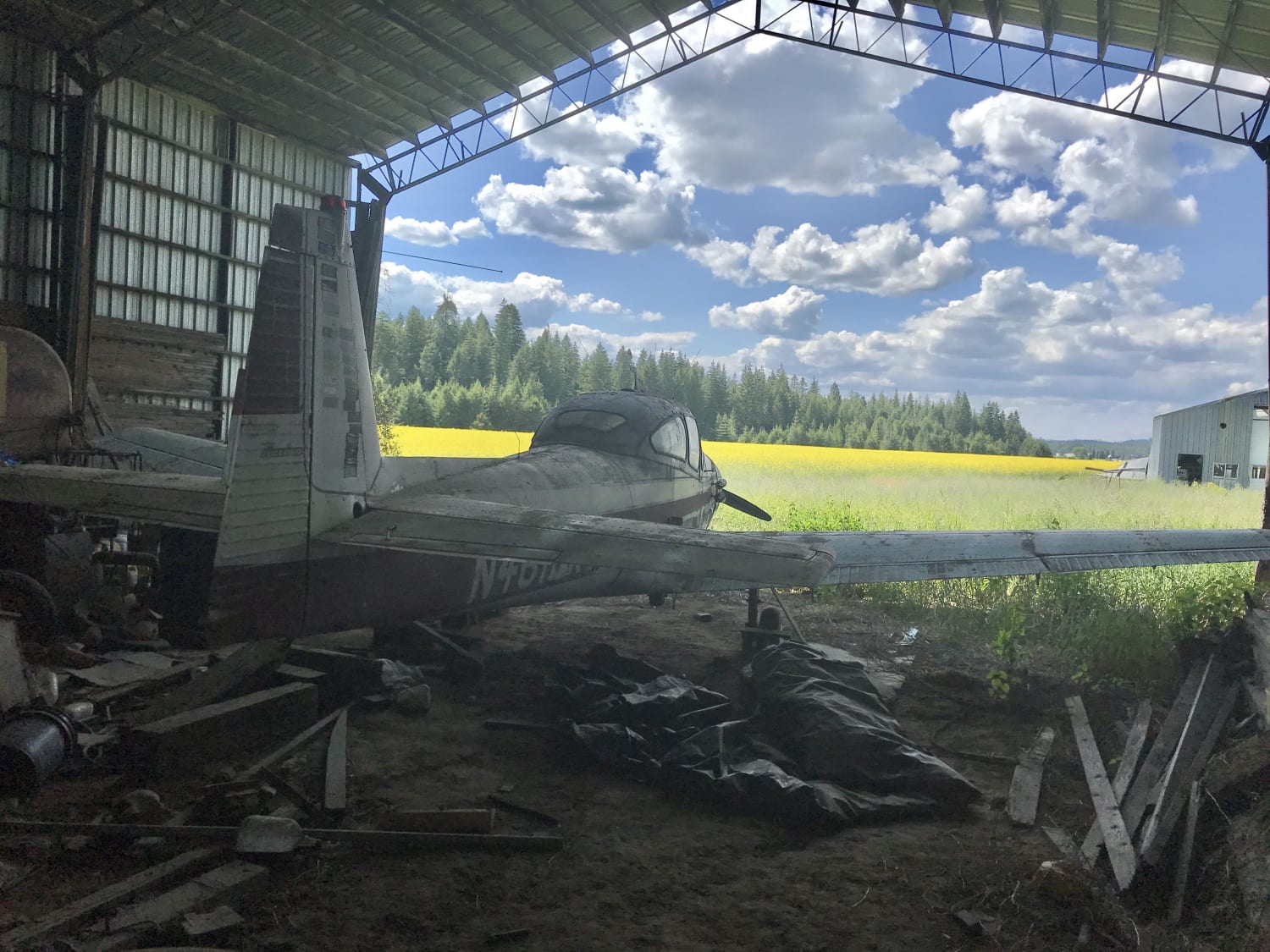 Poor old 1958 Piper Navion left to rot at an airfield-turned-flower field.