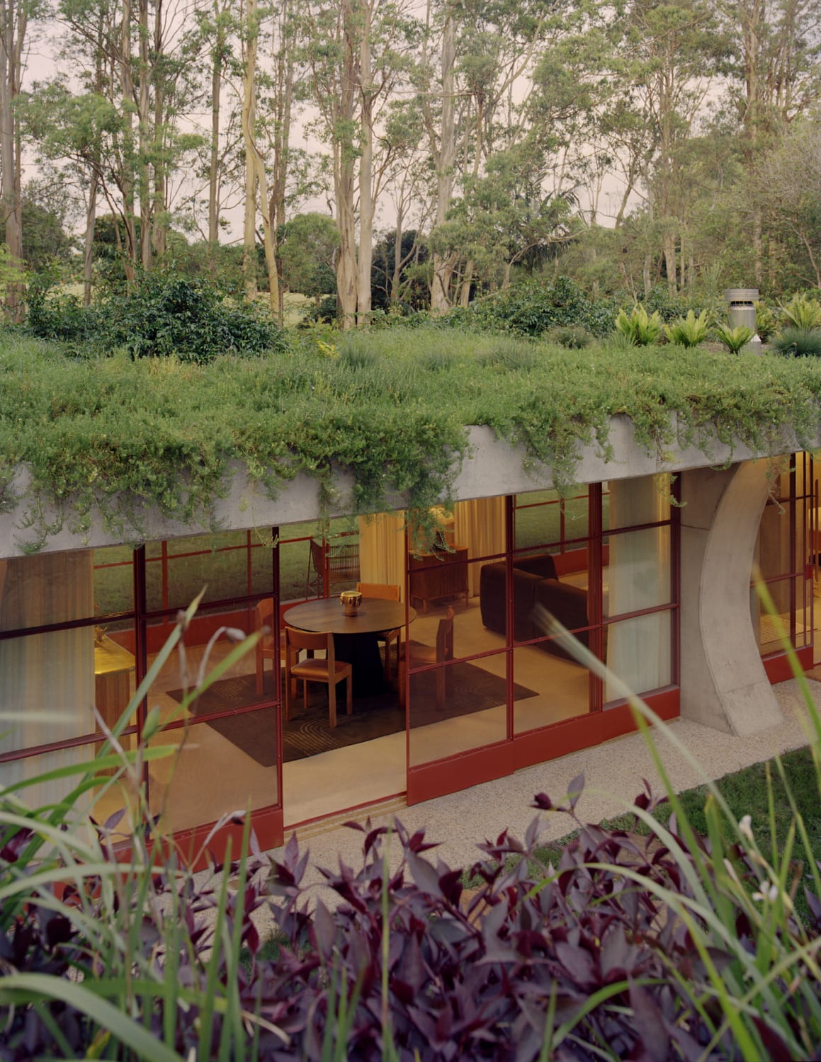Guesthouse living spaces under a vegetated rooftop in Tintenbar, Far ...