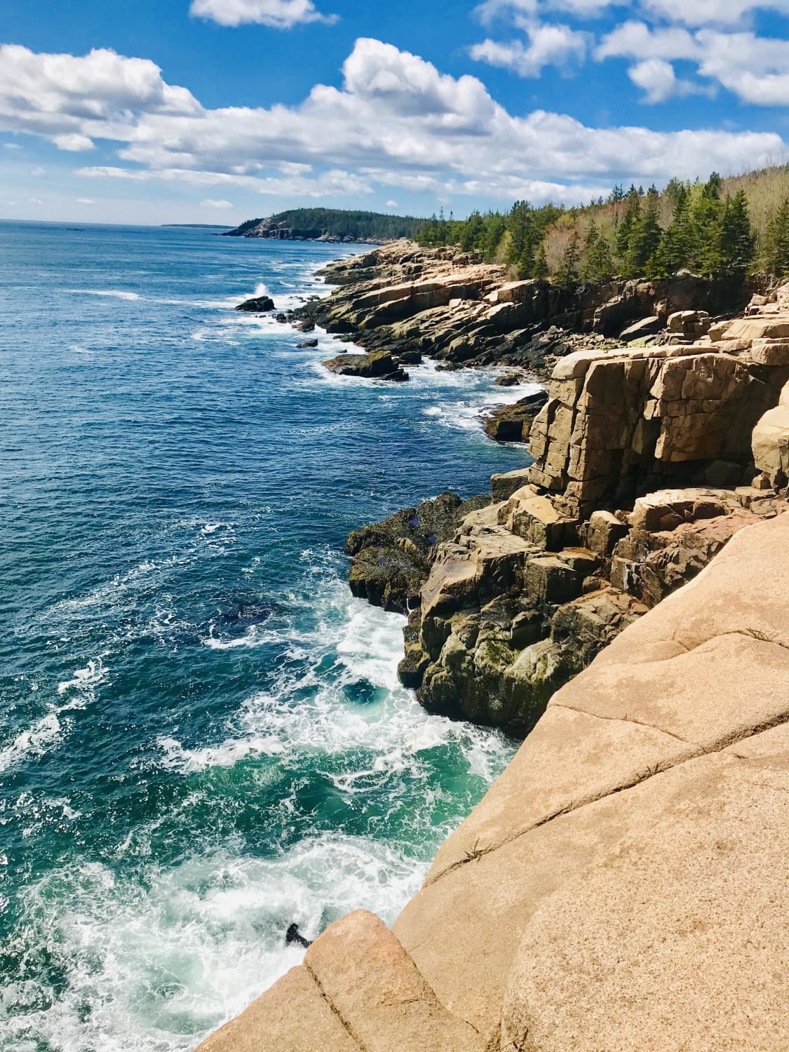 Acadia National Park, Ocean Path Trail, Maine, US (May 2019)