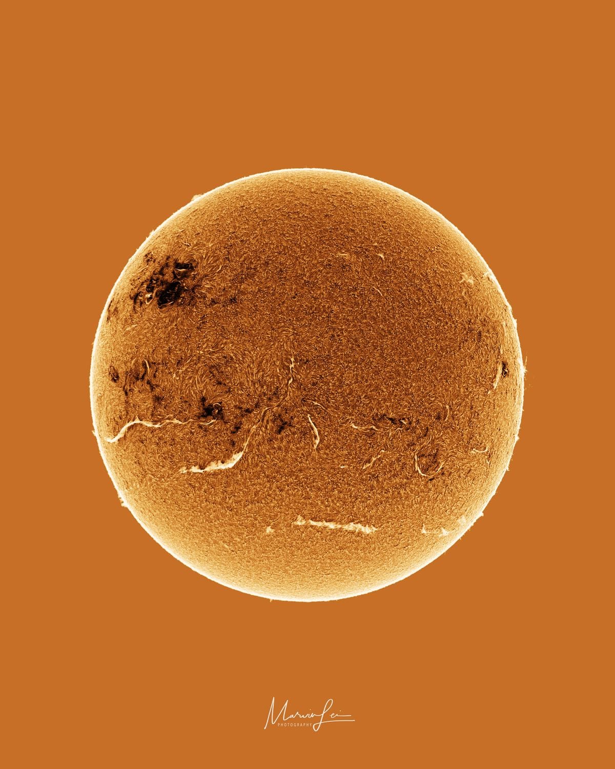 Sun from Jan 30th, 2025 with AR3976 rotating into Earth’s view