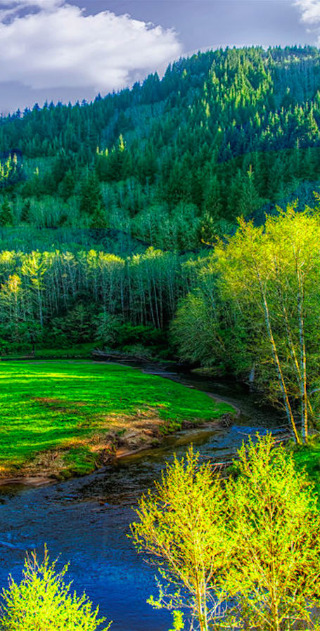 Yachats River Valley on the central Oregon coast • photo: Dennis Salon on deviantart | Nature ...
