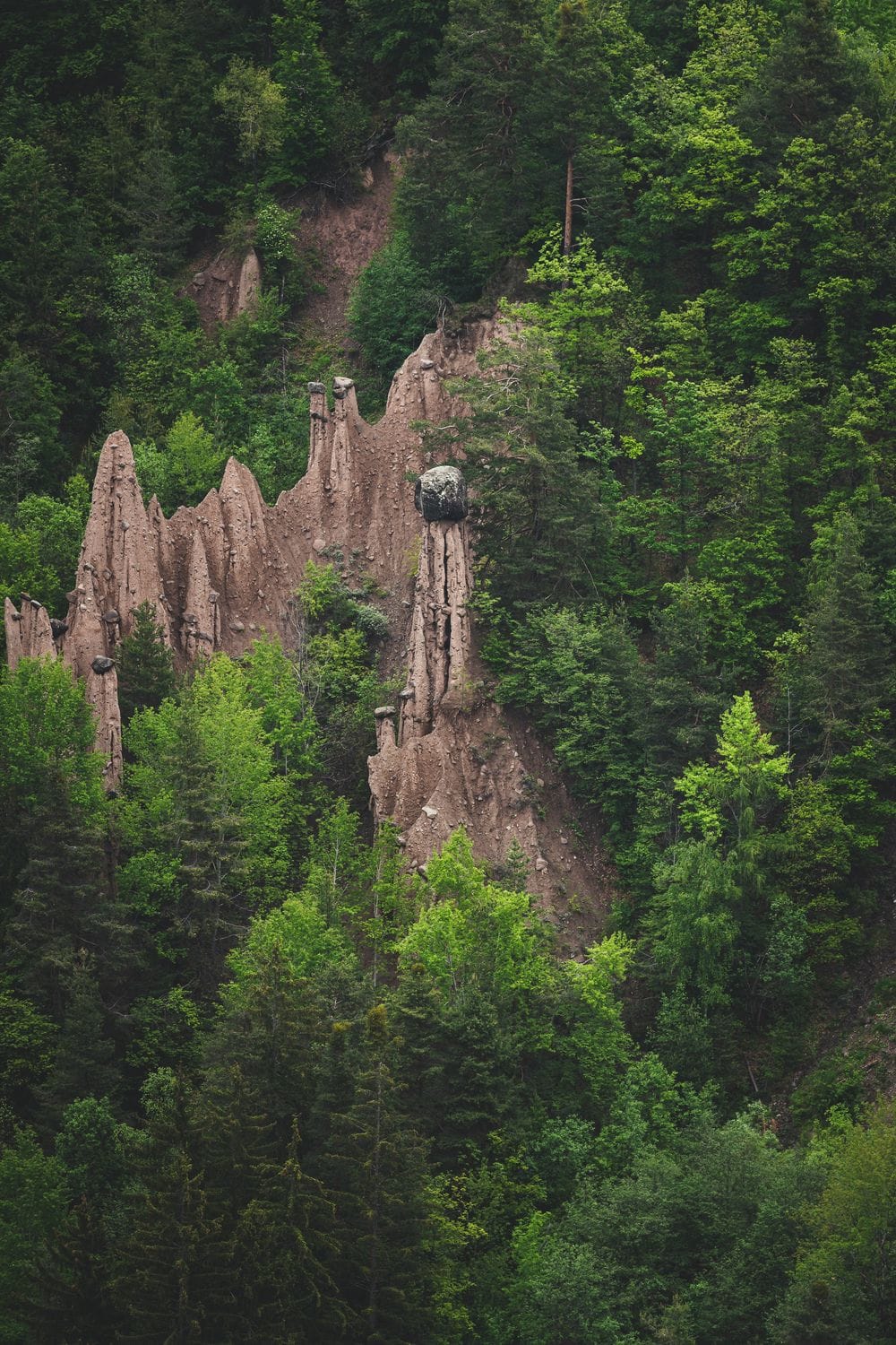 Crazy Nature