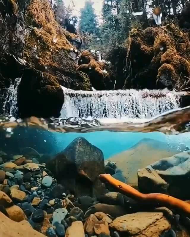 The sheer clarity of this waterfall in Alaska